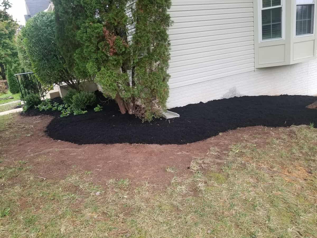 Professional Lot Cleaning Services - E and C Landscaping